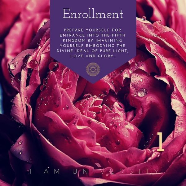 EN1: Enrollment in the I AM University (Year 1) plus FREE Daily Planner ...